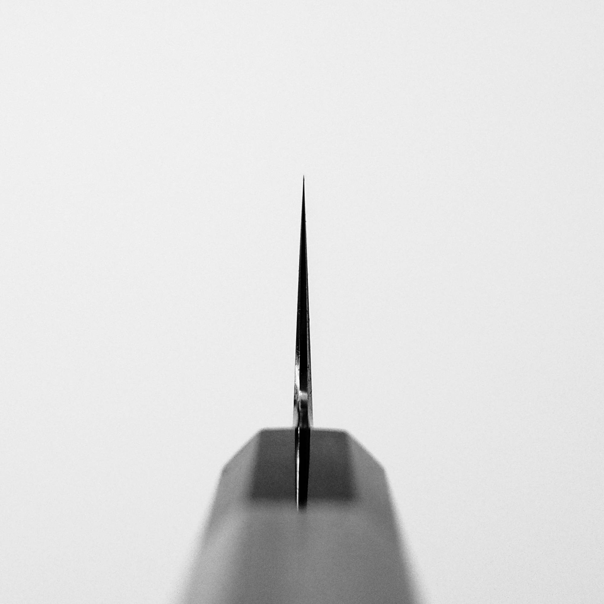 Tetsujin kasumi ginsan kiritsuke gyuto 210mm – Zahocho Knives Tokyo